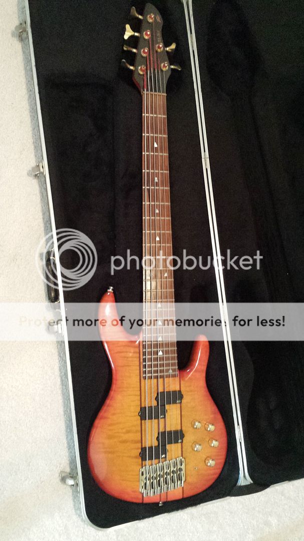 NBD: Peavey TL-Six (TL6). Questions | TalkBass.com