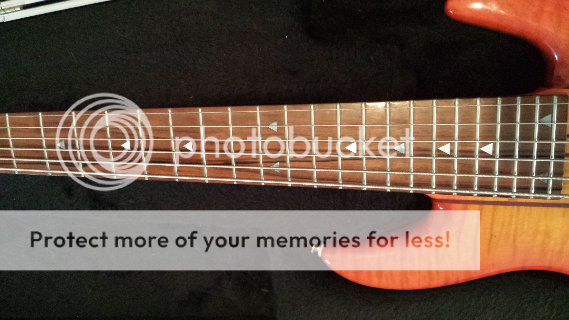 NBD: Peavey TL-Six (TL6). Questions | TalkBass.com