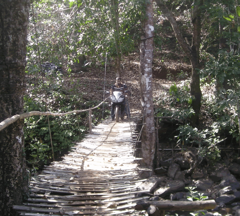 R one five's Go wild ... - xBhp.com : The Global Indian Biking Community