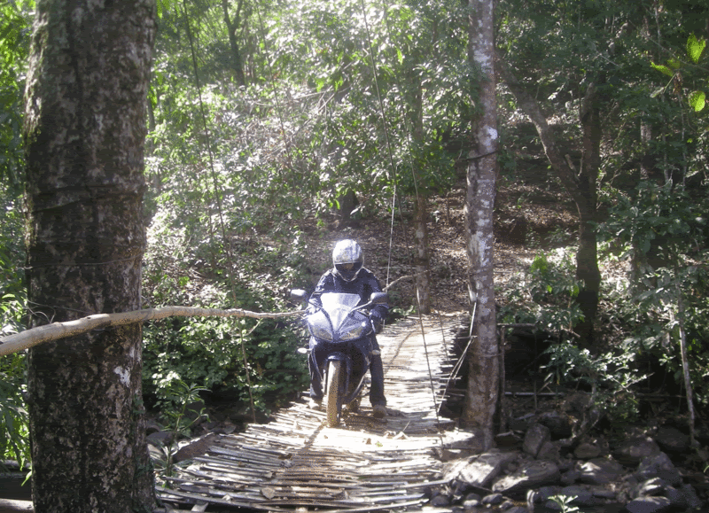 R one five's Go wild ... - xBhp.com : The Global Indian Biking Community